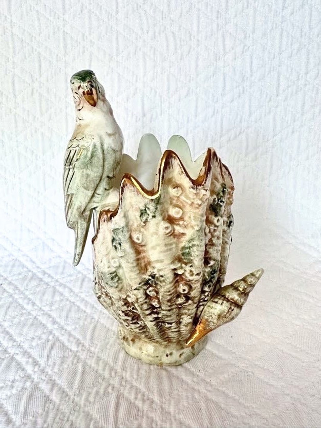 Seashell Vase Parakeet Clamshell Vase Tropical Decor Island Decor ...