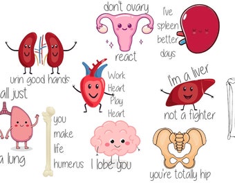 Cute Human Anatomy Goodnotes Stickers Biology & Anatomy - Etsy