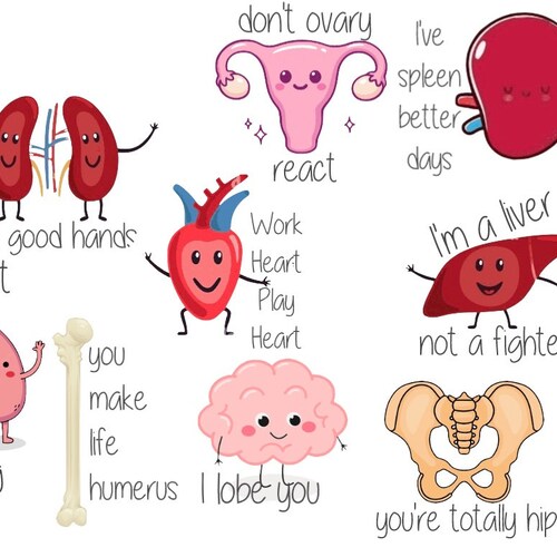 Anatomy Digital Sticker Pack Pre-cropped Human Body Stickers - Etsy