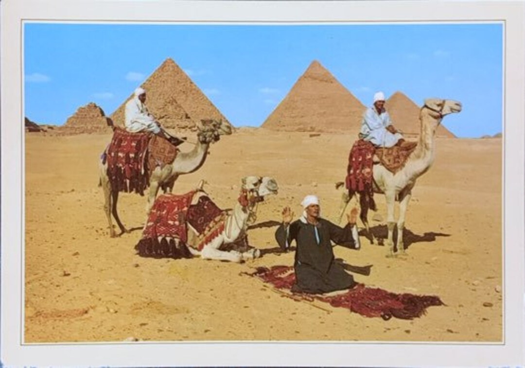 Arab Camel Riders in Front of the Pyramids Imported/vintage Postcard ...