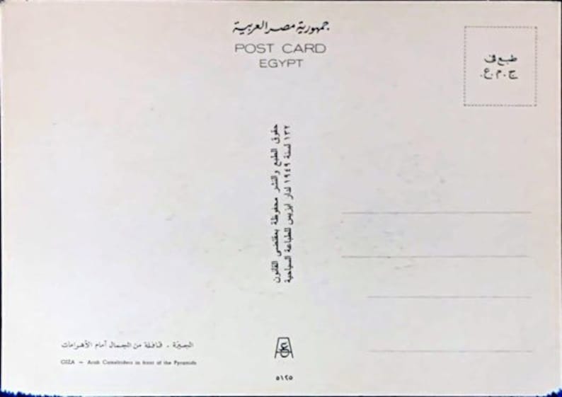 Arab Camel Riders in Front of the Pyramids Imported/vintage Postcard ...