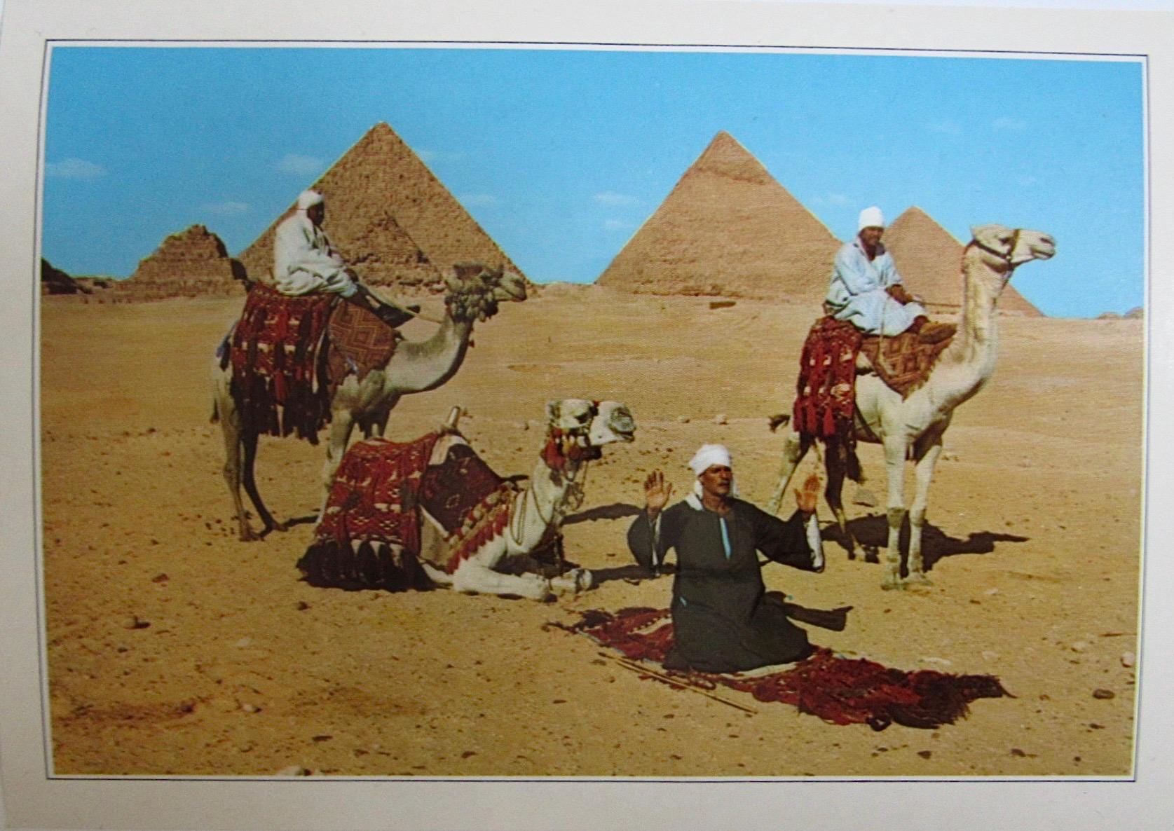 Arab Camel Riders in Front of the Pyramids Imported/vintage Postcard ...