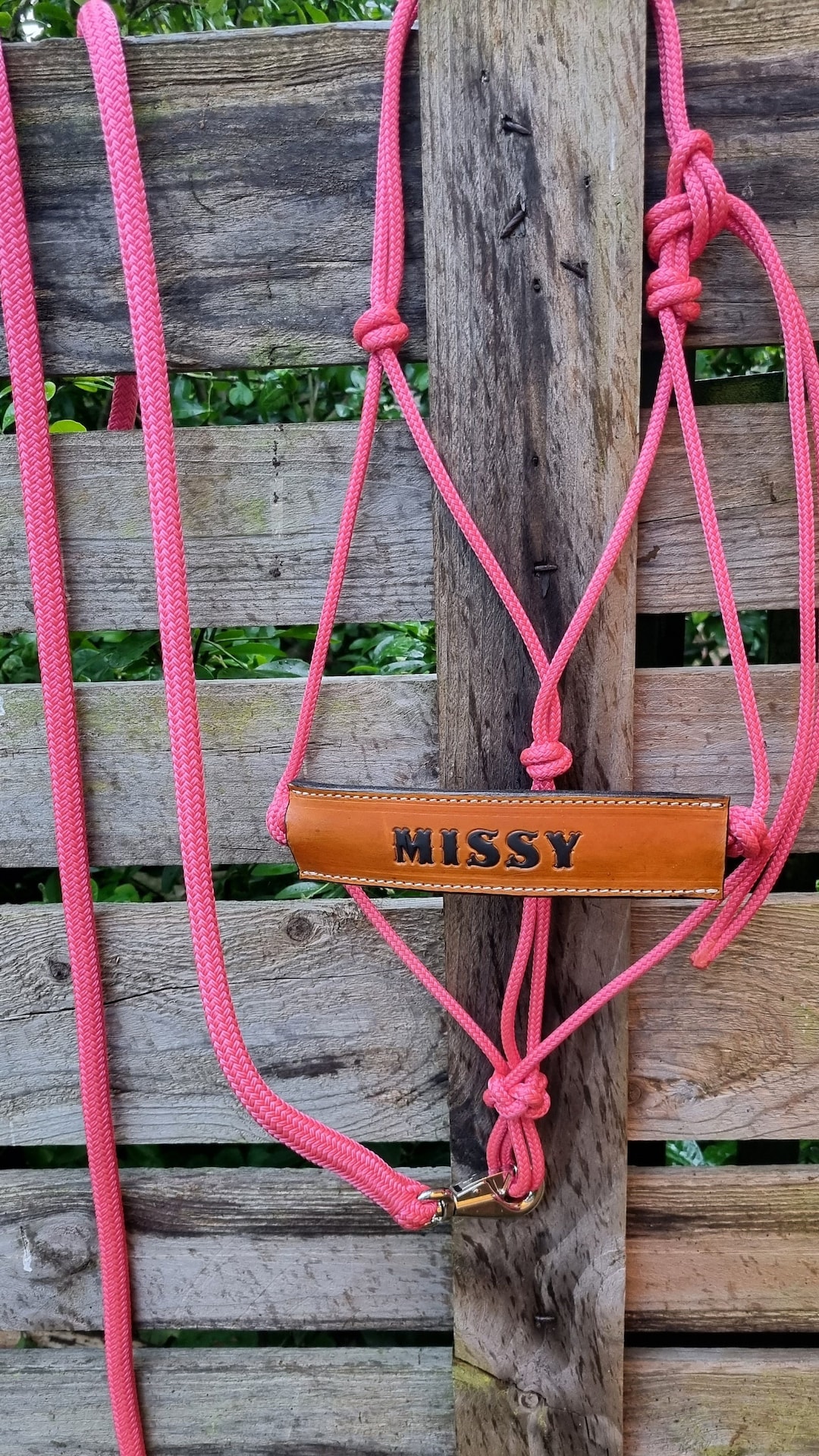 Halter With Custom Name Noseband - Etsy