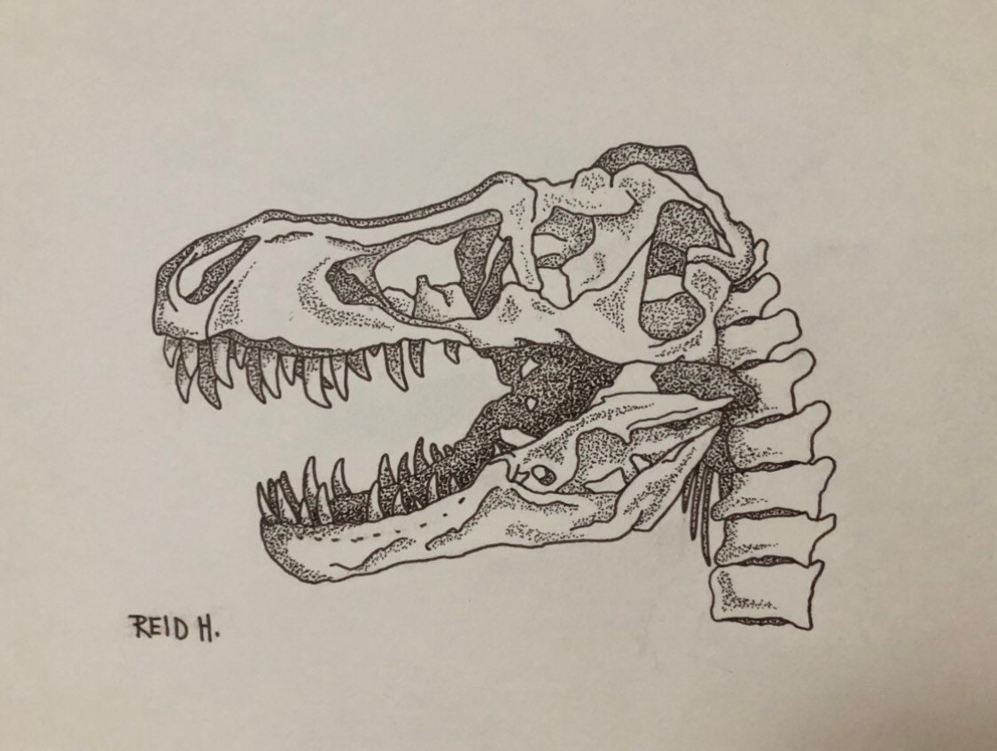 Dino Print - Etsy