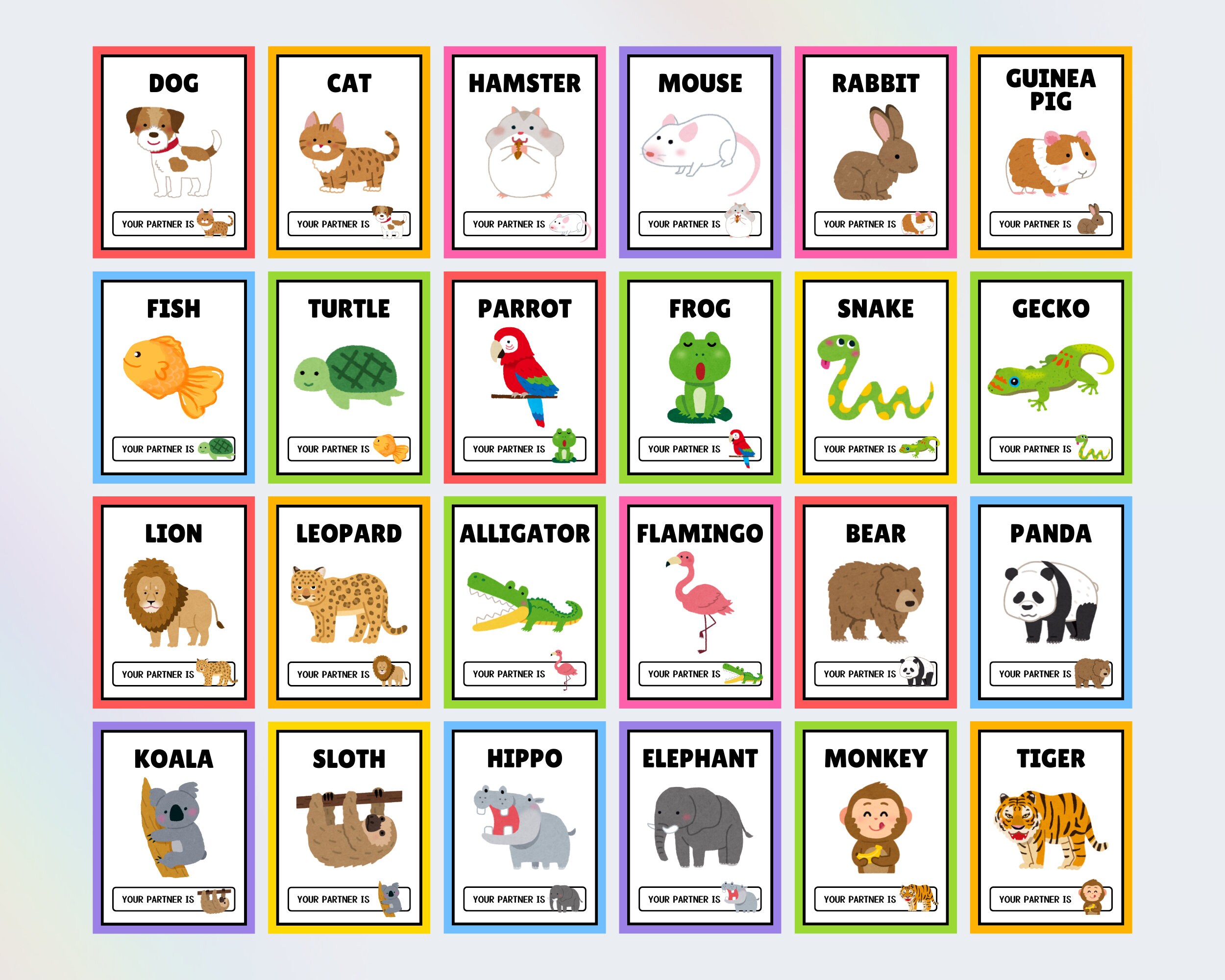 Animal Partner Pairing Cards, Classroom Student Partner Matching Cards ...