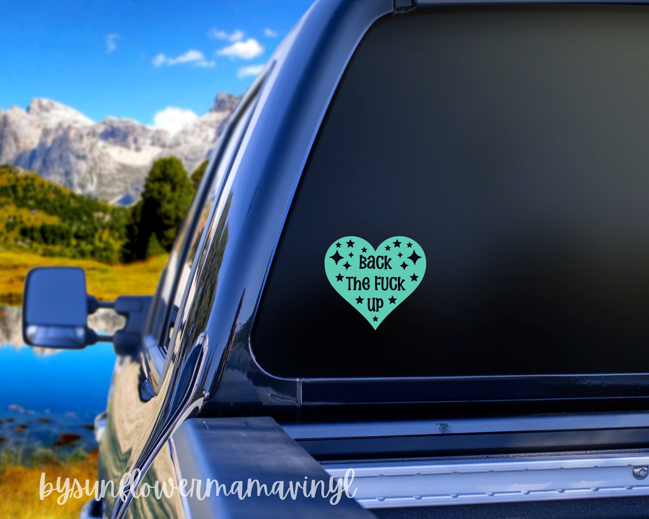 Back the F up Car Decal, Funny Car Stickers, Funny Car Decal, Bumper ...