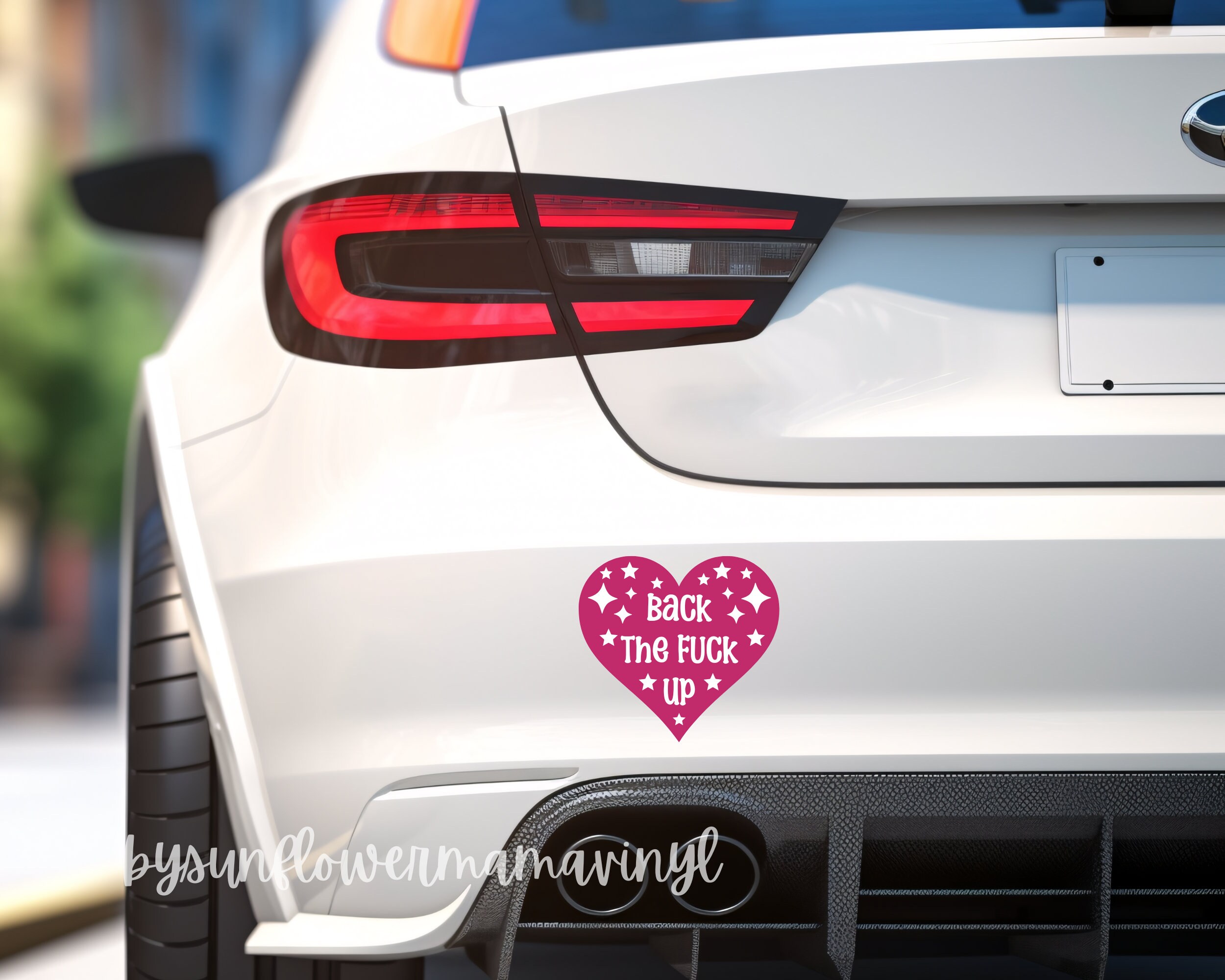 Back the F up Car Decal, Funny Car Stickers, Funny Car Decal, Bumper ...