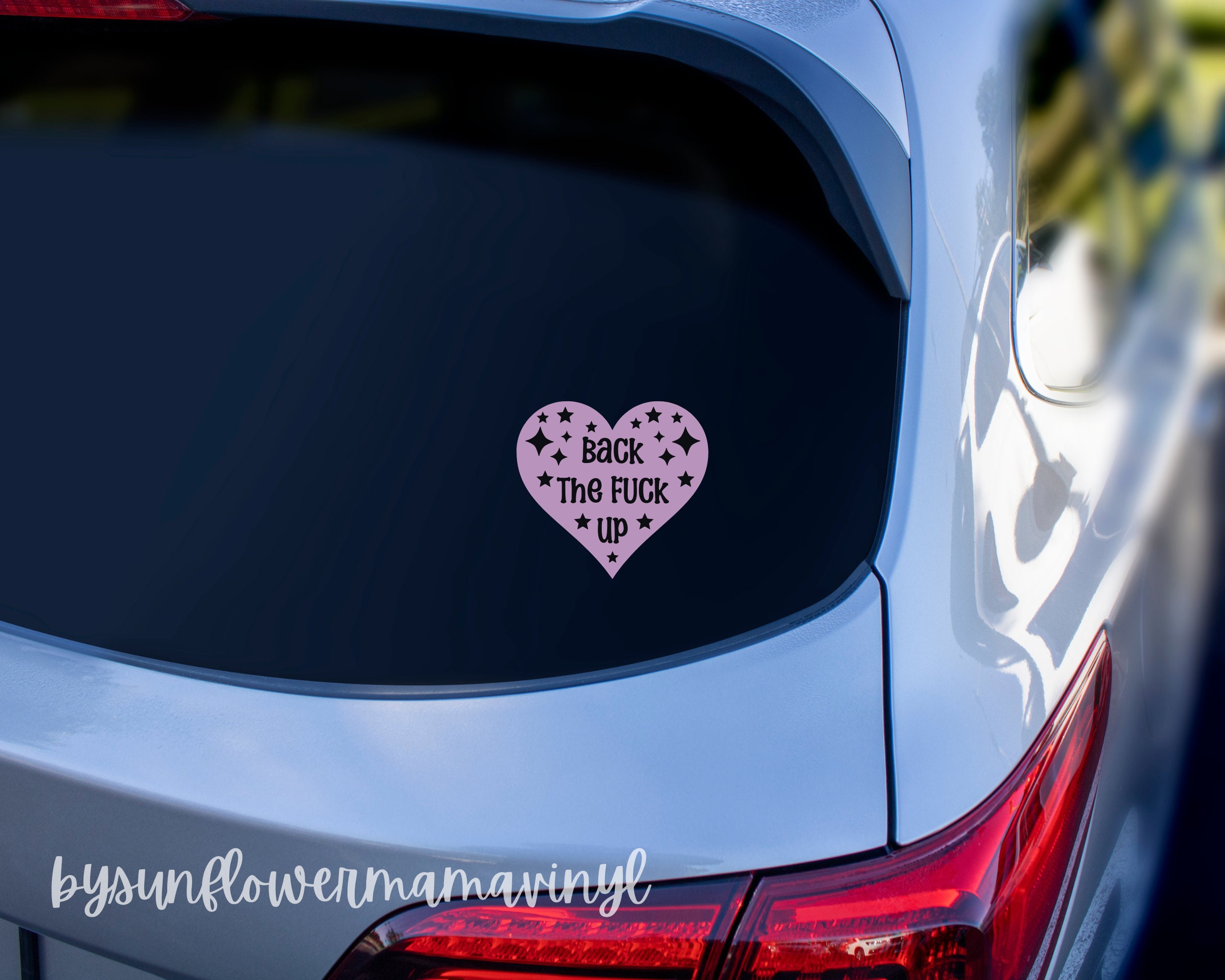 Back the F up Car Decal, Funny Car Stickers, Funny Car Decal, Bumper ...