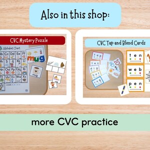 Long and Short Vowel Sounds- Printable Phonics Cards for Kindergarten ...