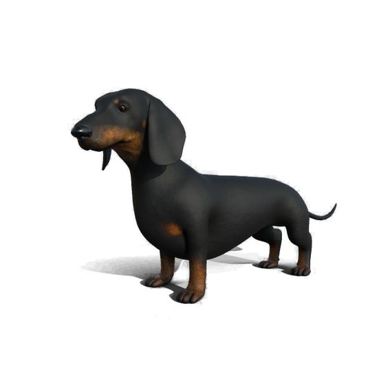 3D Augmented Reality AR Dog 3D Model Mockups of Your Dog - Etsy