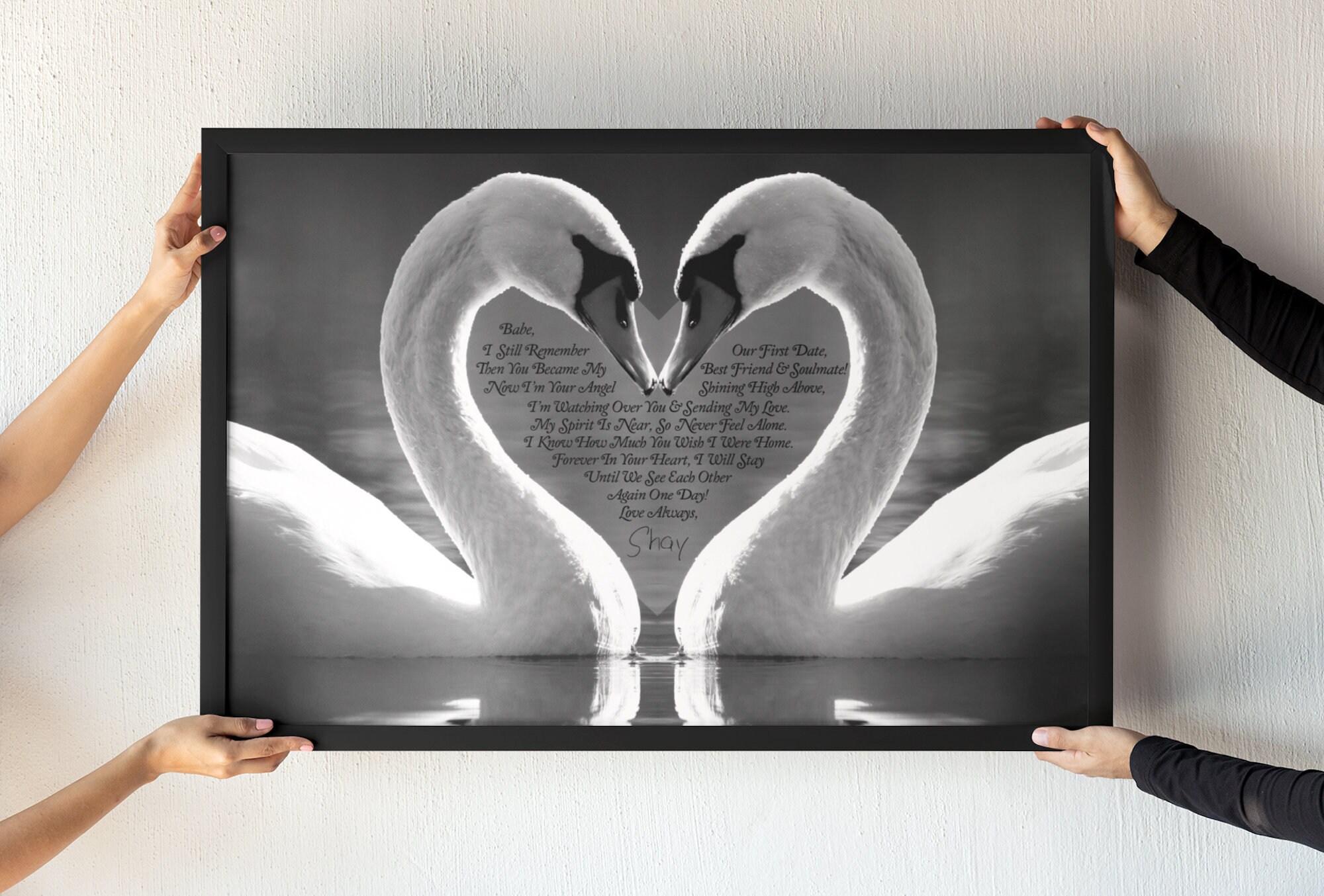 Peaceful White Swans