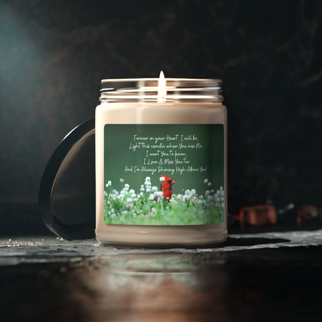 Spring Cardinal Sympathy Candle, Loss of Loved One, Father's Day ...