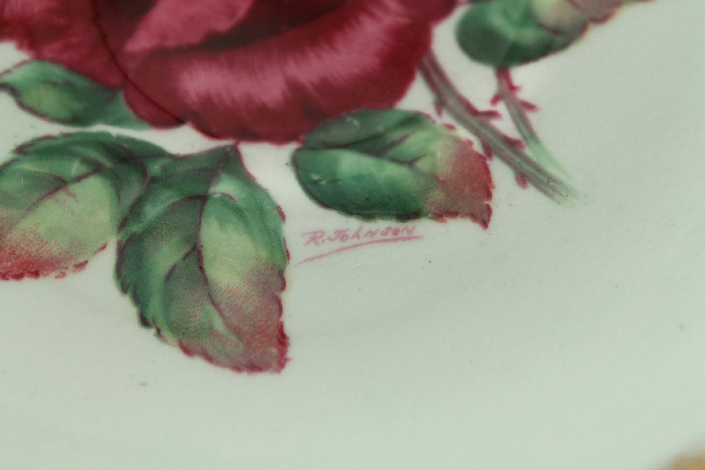 Paragon Floating Cabbage Rose Teacup and Saucer Signed R. - Etsy