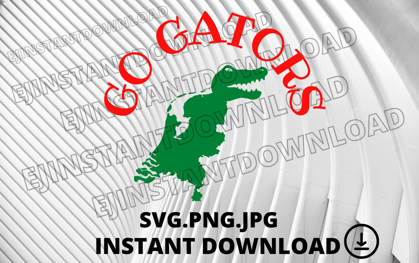 Fl Gators Florida Gator Head Logo SVG, Florida Gators Clipart PNG, Go ...