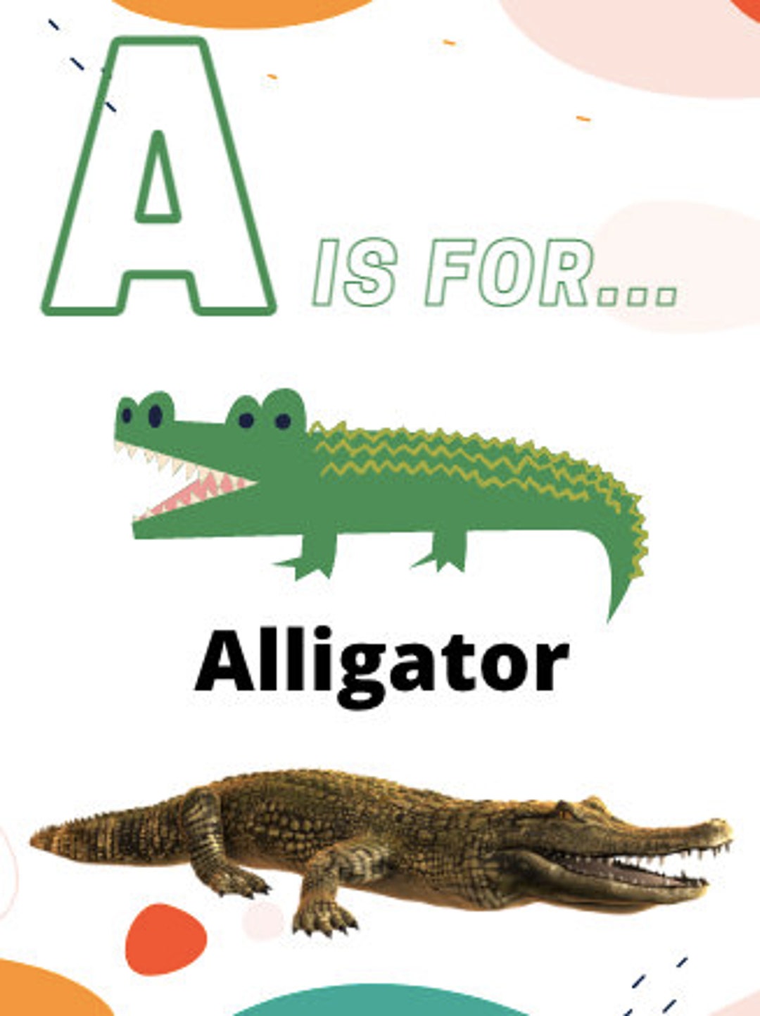 Alphabet Line - Animals - Etsy