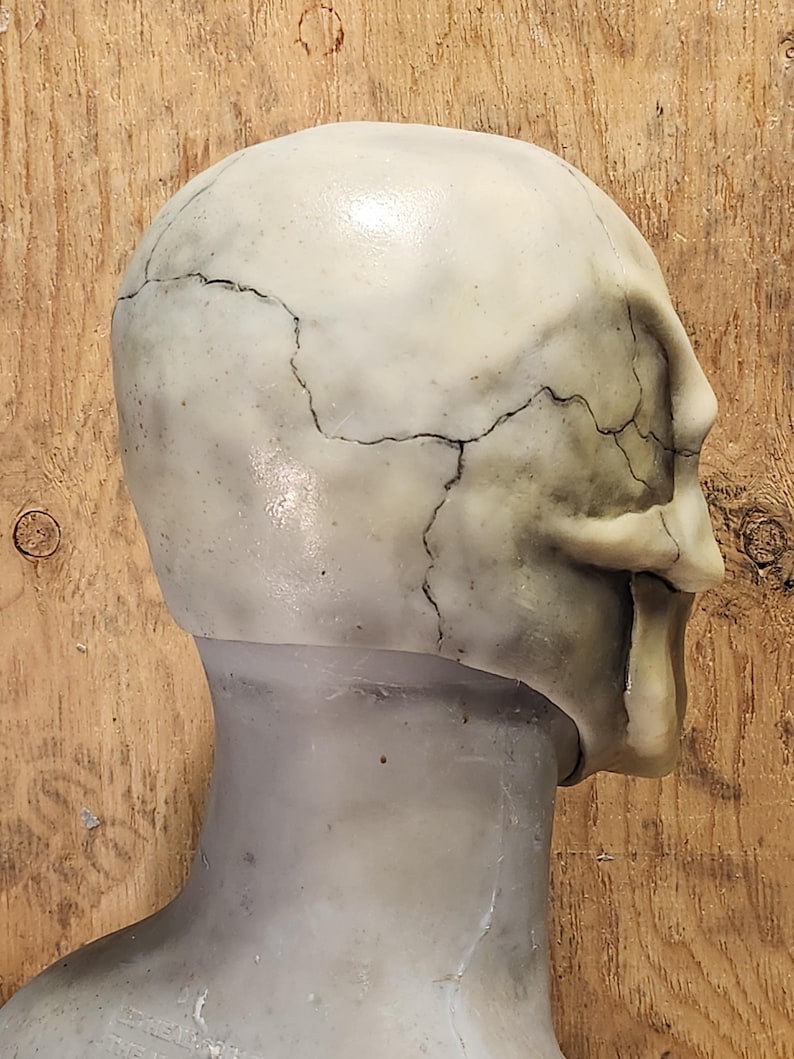 Skeleton Silicone Head Mask. Cosplay, LARP, Motu. Custom Paint/fx! - Etsy