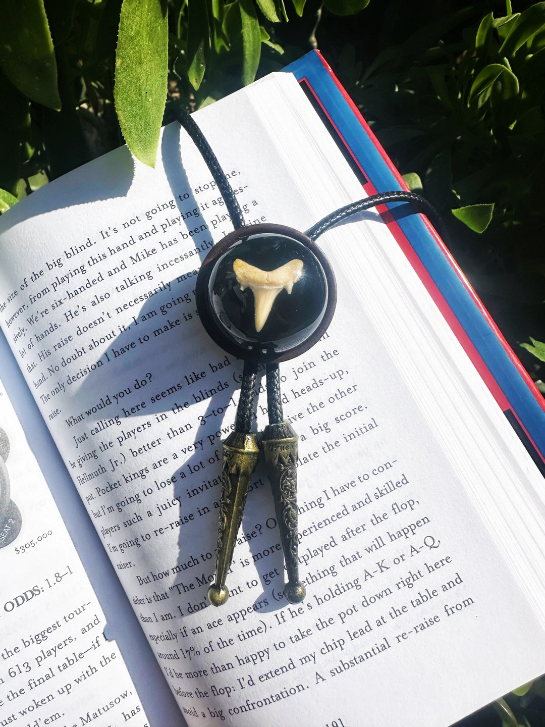 Real Shark Tooth Bolo Tie, Genuine Tooth Gothic Western Necktie, Unisex ...