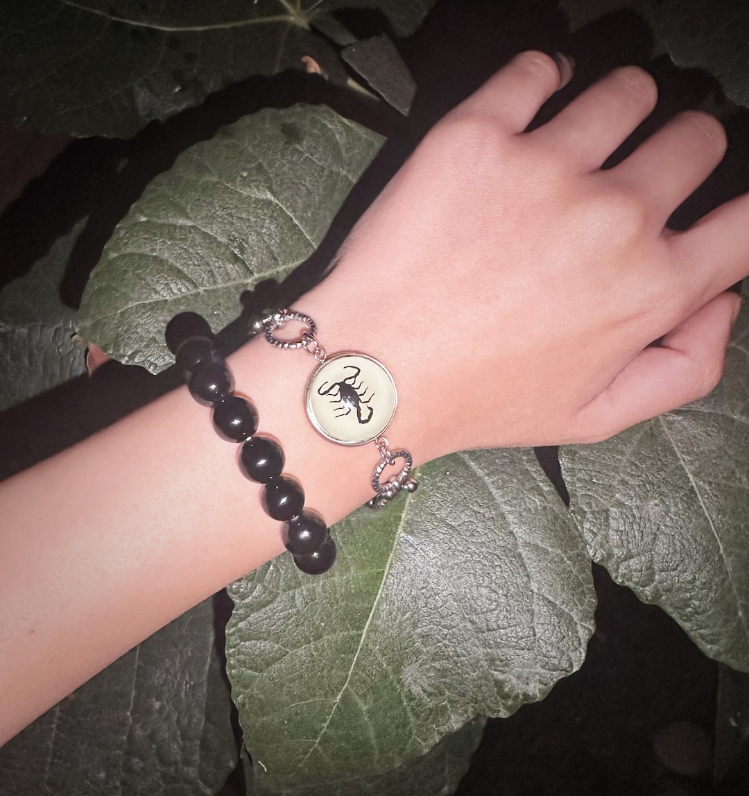 Real Scorpion Stainless Steel Chain Bracelet Paired With Natural Black ...