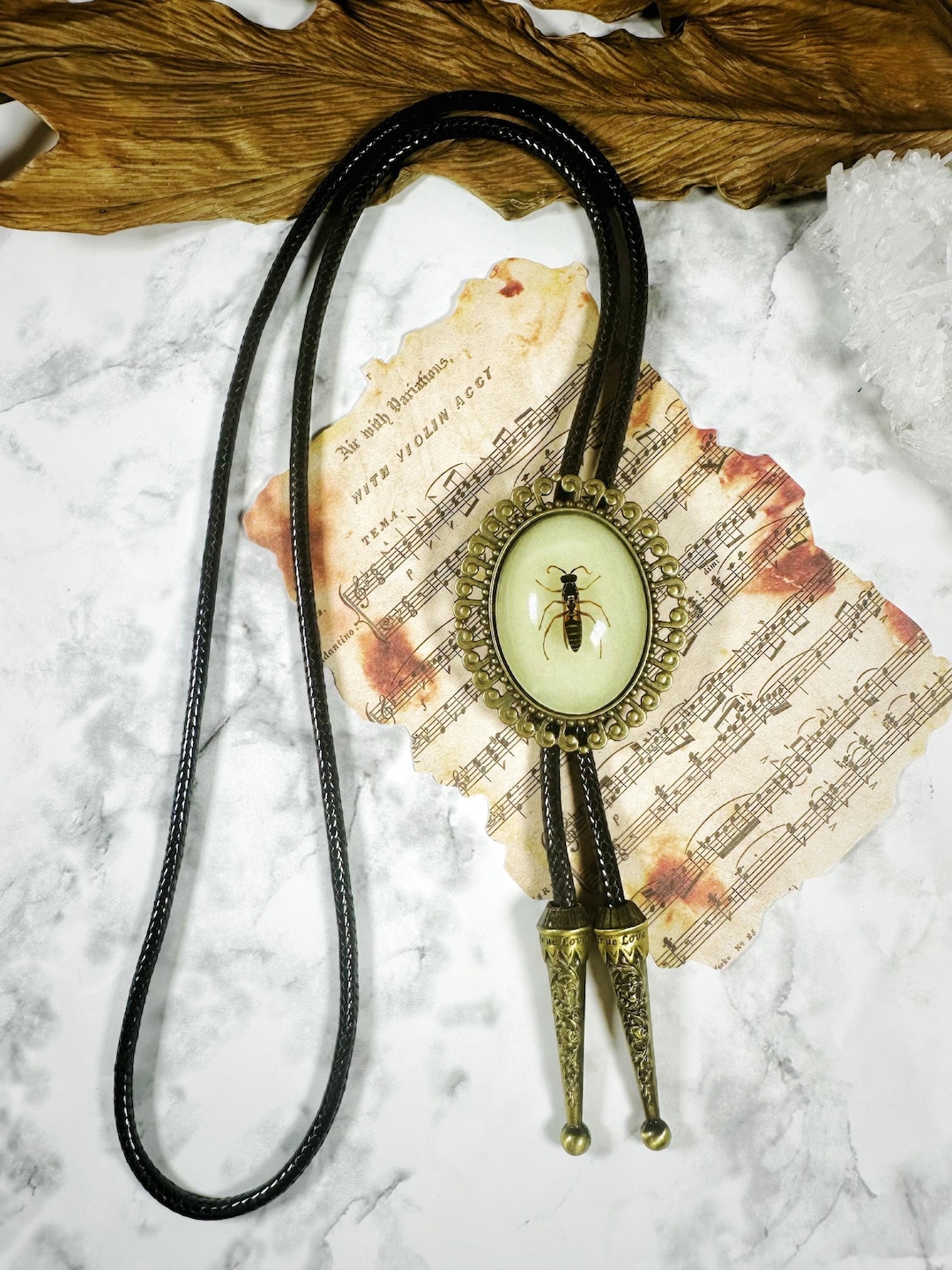 Real Wasp Bolo Tie, Gothic Glow in the Dark Insect Necklace, Unique ...
