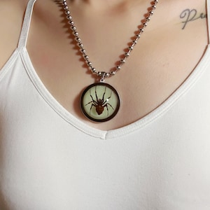 Real Spider Stainless Steel Chain Gothic Necklace, Glow Specimen Never ...