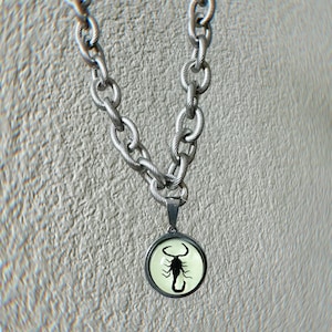 Real Scorpion Stainless Steel Choker Necklace, Bold Gothic Bug Jewelry ...