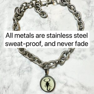 Real Scorpion Stainless Steel Choker Necklace, Bold Gothic Bug Jewelry ...
