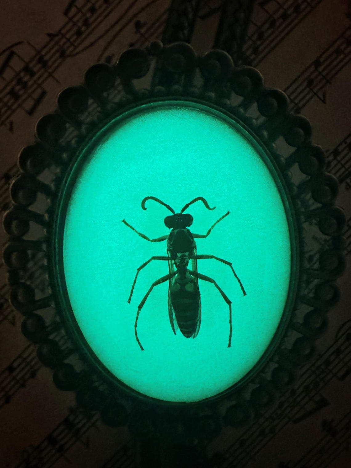 Real Wasp Bolo Tie, Gothic Glow in the Dark Insect Necklace, Unique ...