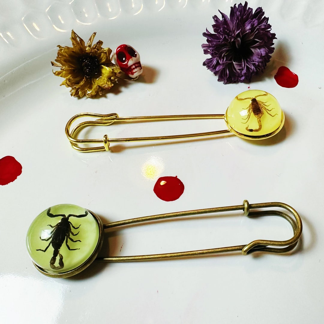Real Scorpion Glow Brooch Pin, Black/gold Scorpion Specimen Gothic ...