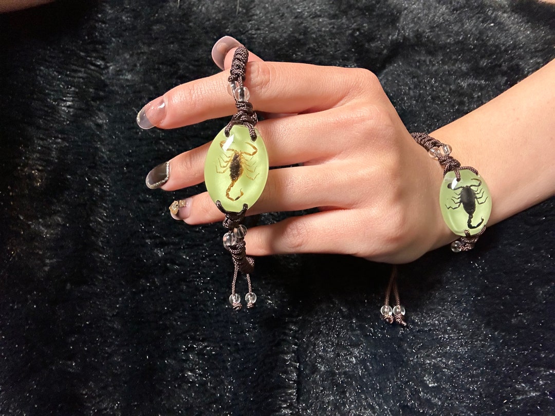 Real Scorpion Bracelet, Gold/black Scorpion Rope Bracelet, Glow in Dark ...