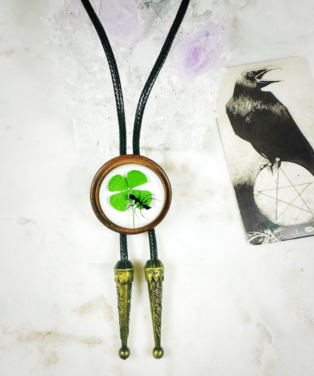 Real Ants on Genuine Four Leaf Clover Bolo Tie, Bug Gothic Western ...