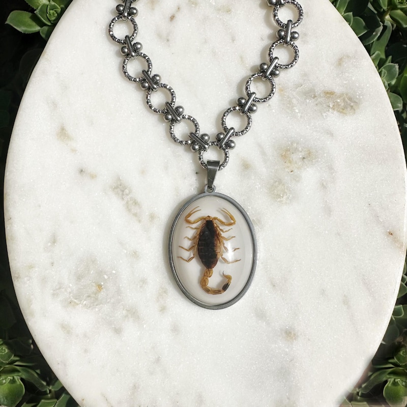 Gothic Insect Jewellery - Etsy