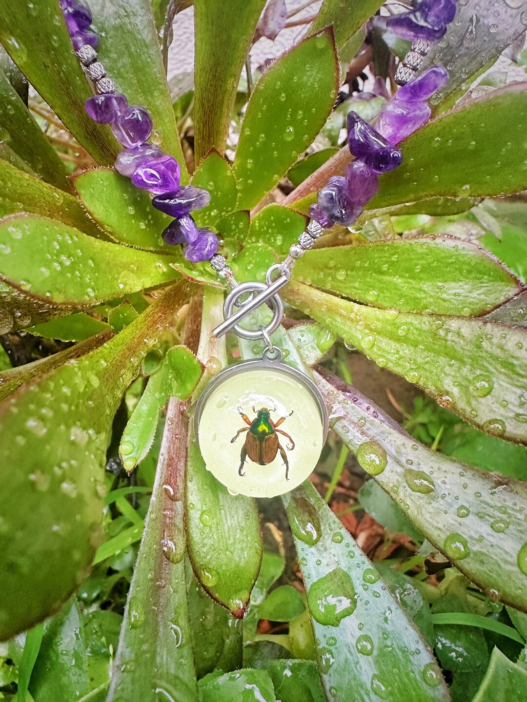 Real Leaf Beetle With Natural Amethyst Chip Necklace, Rainbow Beetle ...