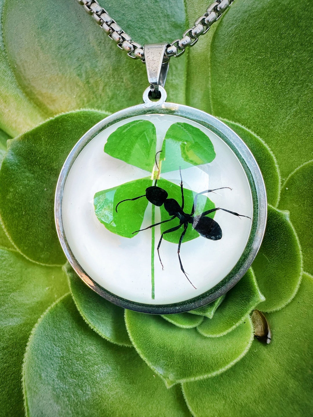 Real Ants on Genuine Four Leaf Clover Stainless Steel Necklace, Lucky ...