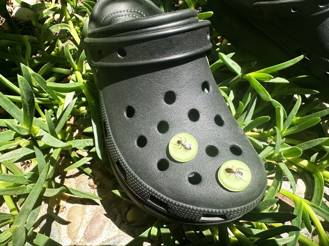 2PCS Real Ants Luminous Croc Shoe Charm, Glow in the Dark Croc Charm ...