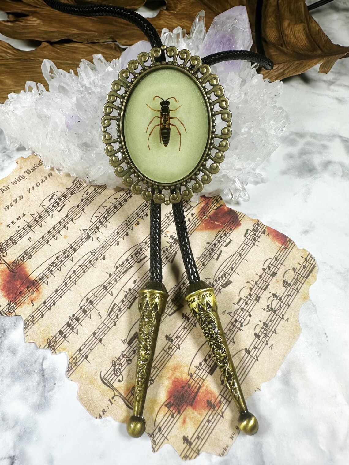 Real Wasp Bolo Tie, Gothic Glow in the Dark Insect Necklace, Unique ...
