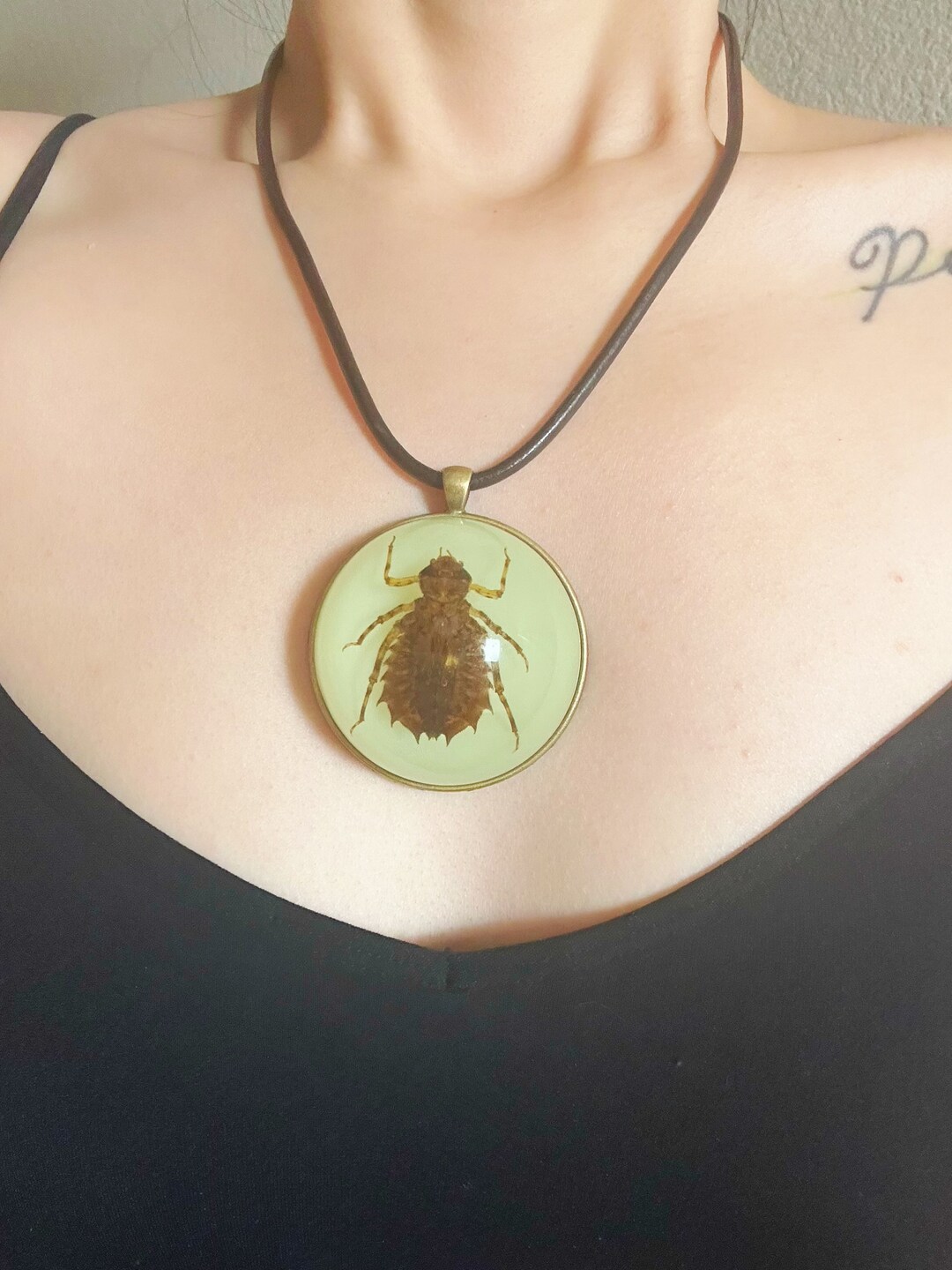 Real Dragonfly Larvae Oversized Necklace With Genuine Leather Cord, Dragonfly Nymph Specimen ...