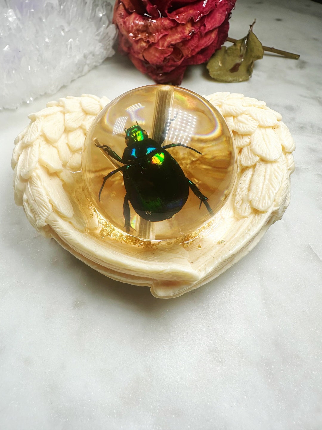 Real Green Beetle Ball on Feather Angel Wing Bowl, Real Insect Table ...