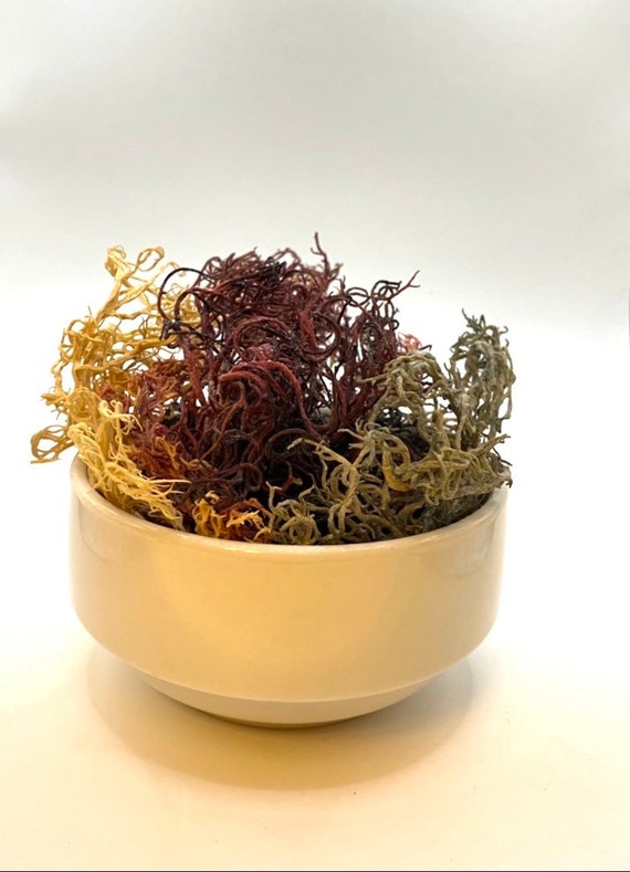 Wildcrafted Irish Sea Moss-full Spectrum - Etsy