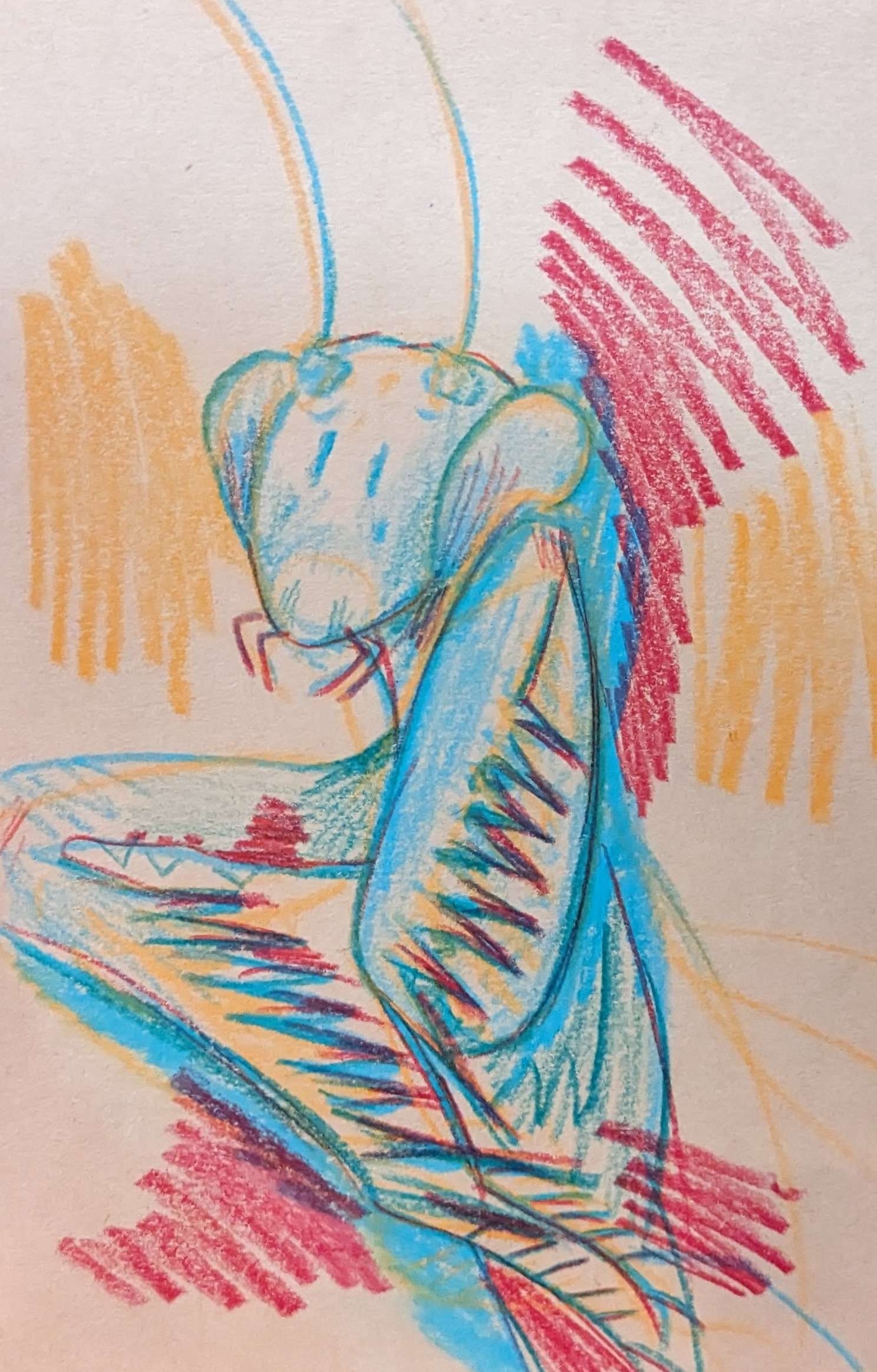 Mantis Original Drawing - Etsy