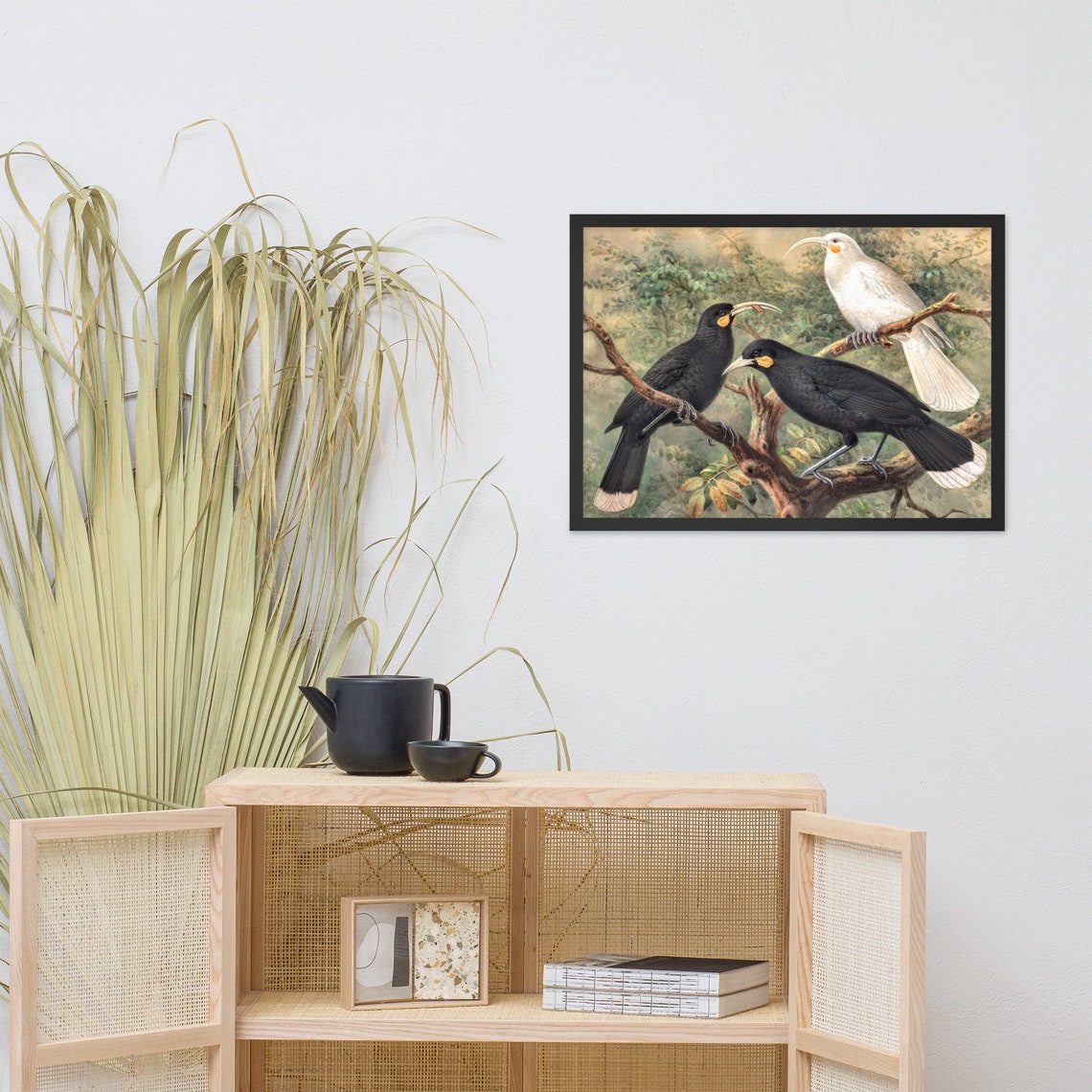 1900 Huia Bird Framed Matte Poster | New Zealand Huia | Vintage Bird ...