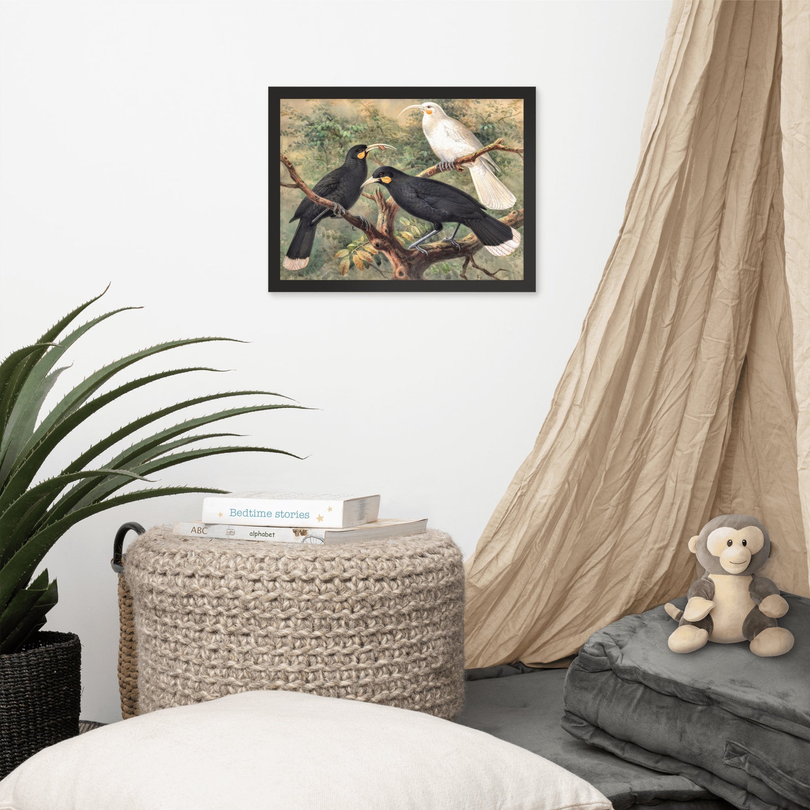 1900 Huia Bird Framed Matte Poster New Zealand Huia Vintage Bird ...