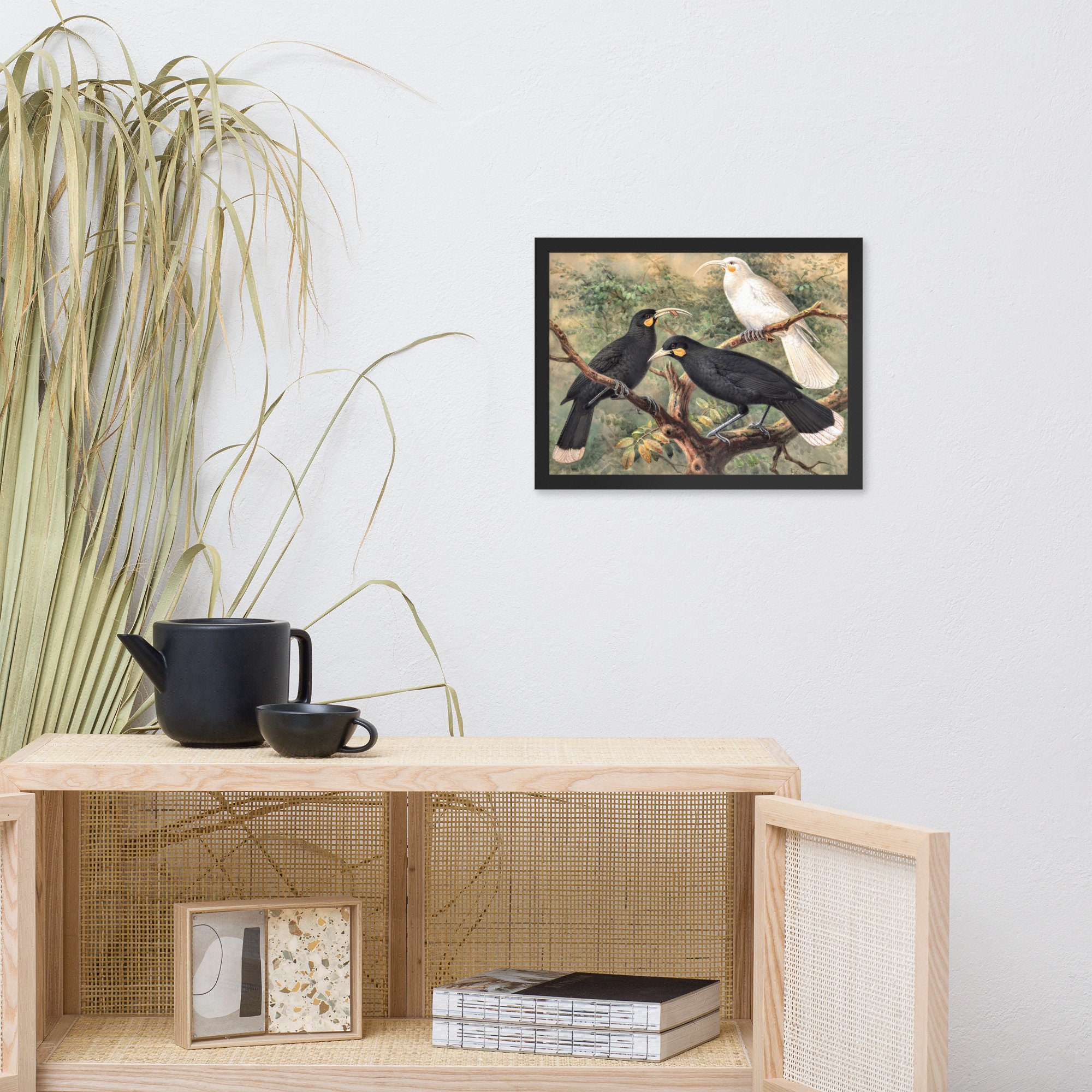1900 Huia Bird Framed Matte Poster | New Zealand Huia | Vintage Bird ...