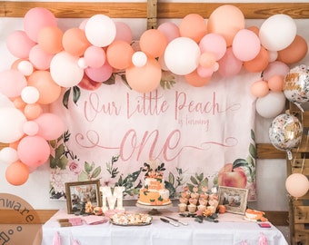 Baby Girl Balloon Arch Kit - Etsy