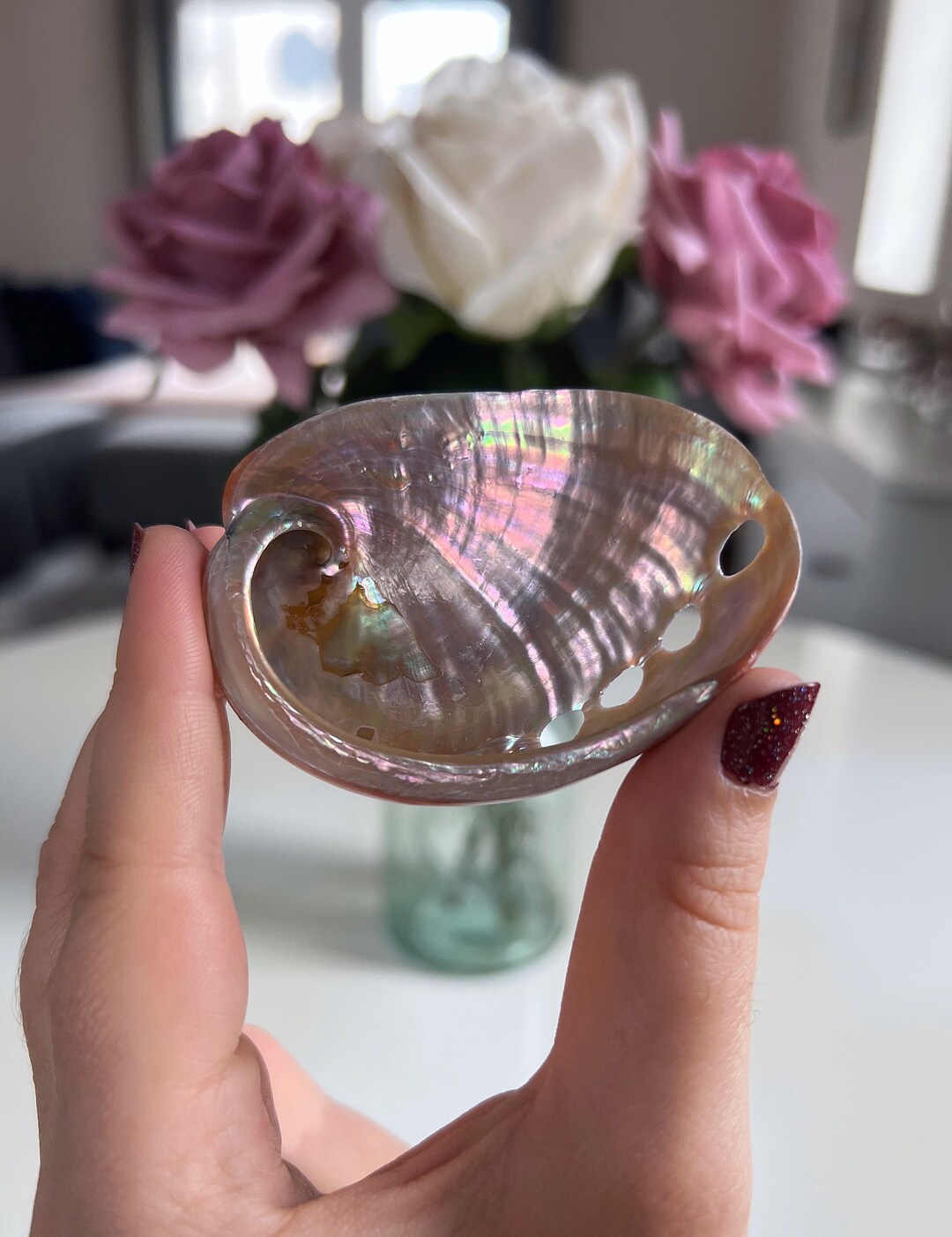 Mini Abalone Shell, Iridescent Abalone Shell, High Grade Paua Shell ...