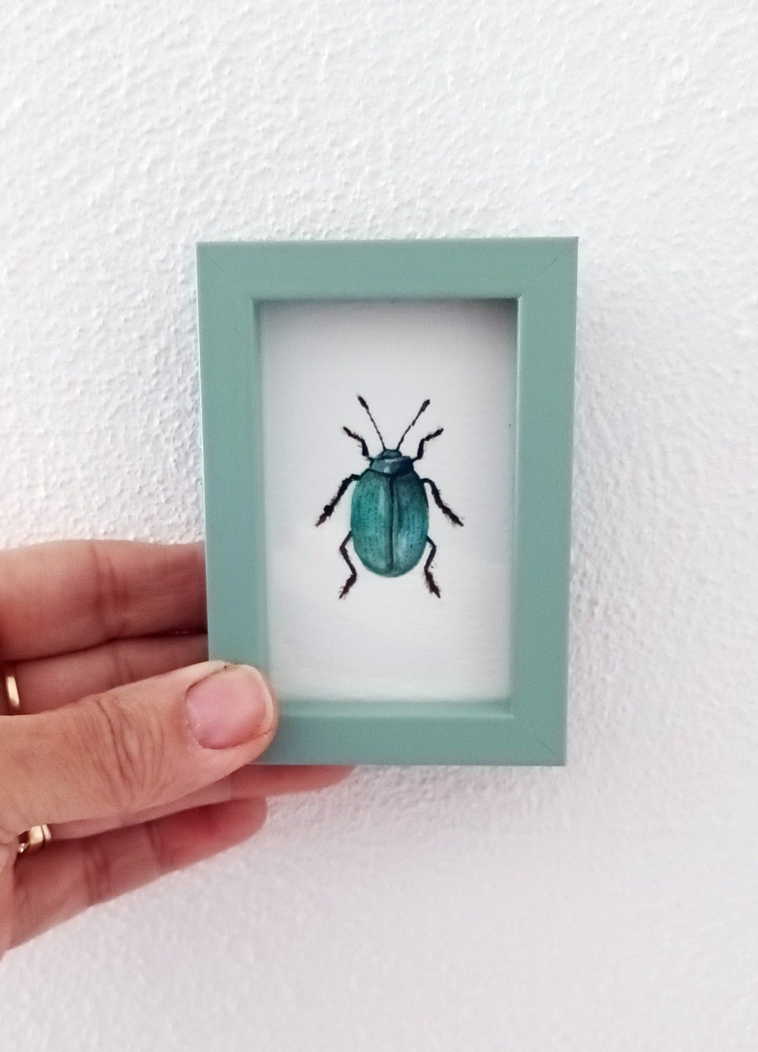 ORIGINAL Insect Drawing in Water Colors, Tiny Art, Bug Portrait, Bug ...