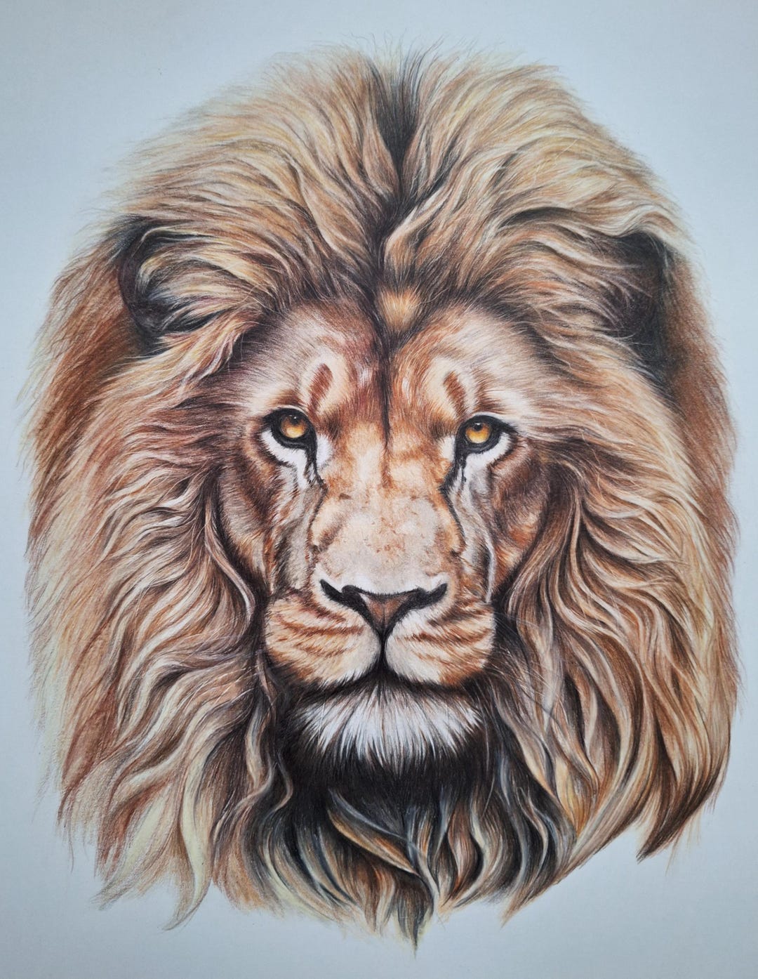 ORIGINAL Lion Drawing, Lion Portrait A3, Original Fine Art, Pencil ...