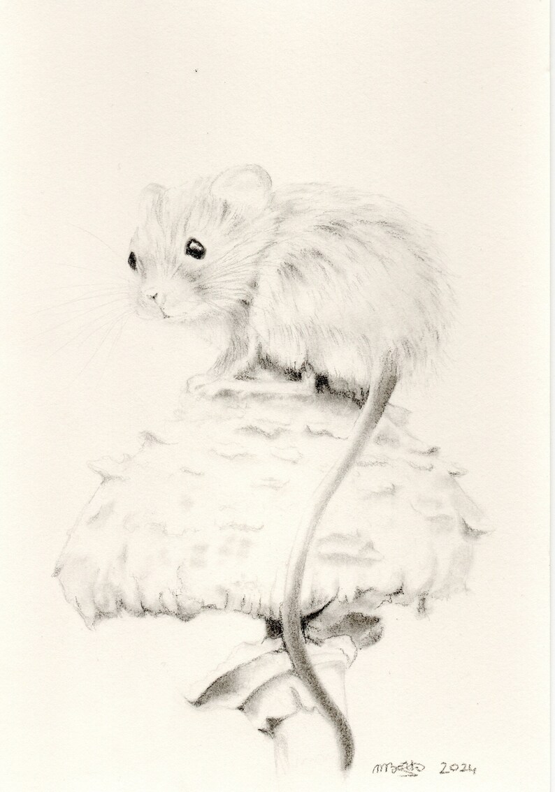 ORIGINAL Mouse Pencil Drawing, Wall Art, Garden Nature, Unique Gift ...