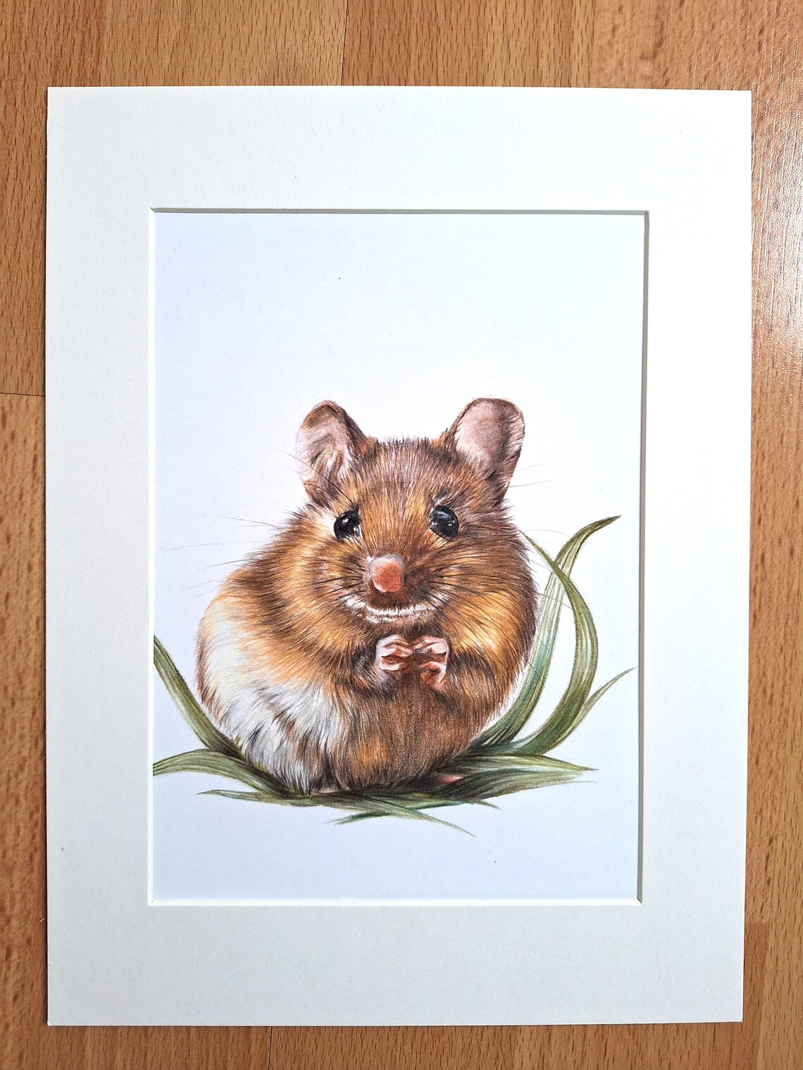 ORIGINAL Mouse Drawing, Mouse Portrait, Original Fine Art, Pencil ...