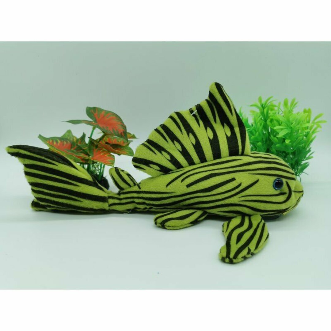 Greenpleco Plushie catfish Royal Pleco Aquarium Decoration - Etsy