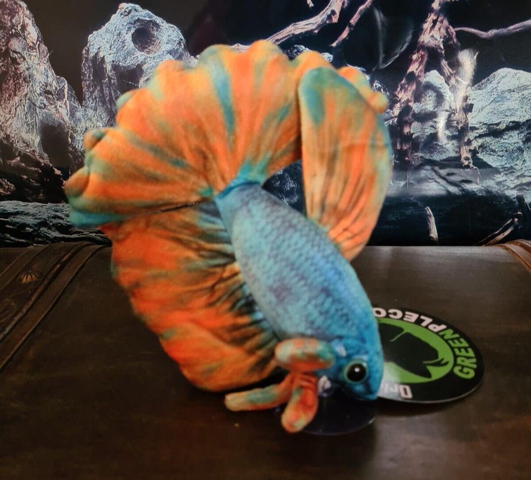 Greenpleco Kuscheltier Plushie "kampffisch" Betta Opal Aquarium Deko - Etsy